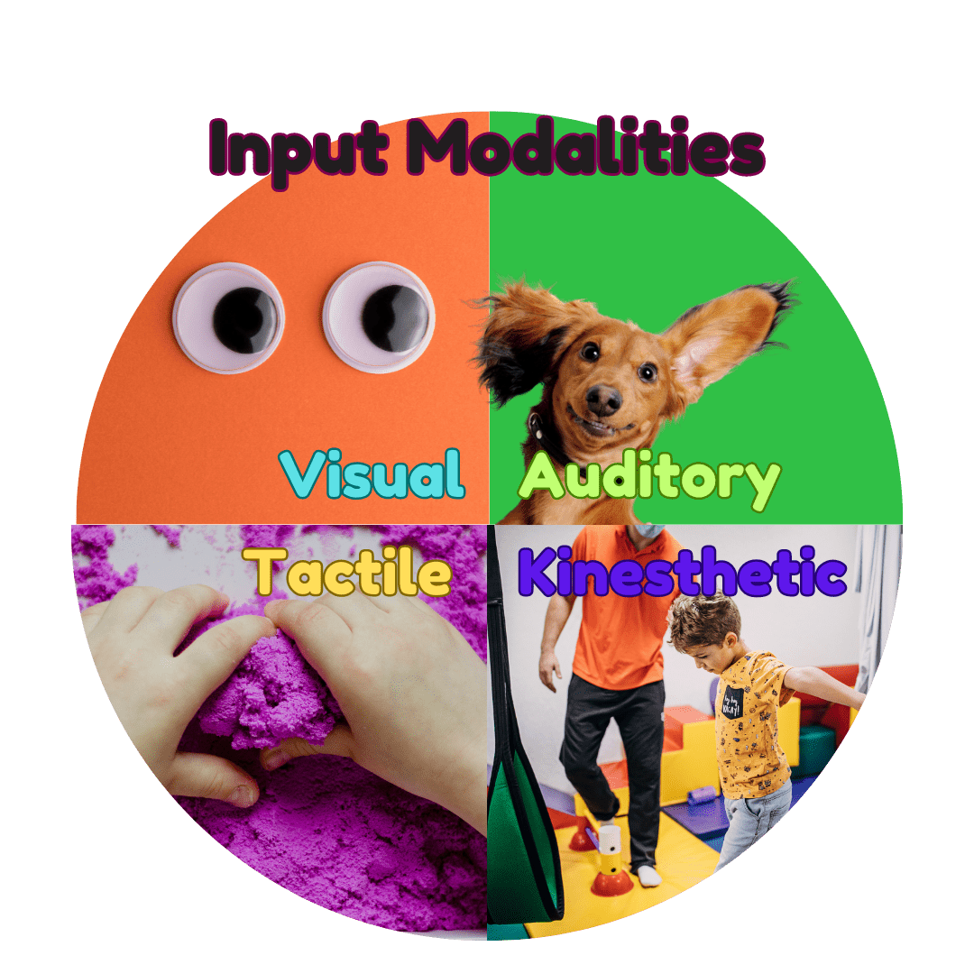 Master the Basics: How to Plan a Homeschool Year Successfully