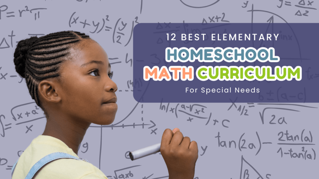 12 Best Elementary Homeschool Math Curriculum For Special Needs